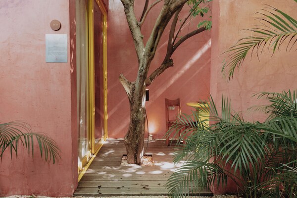 Ka'ak, Un Oasis Con Gran Ubicación, Ideal Para Reconectarte Con La Naturaleza. - Mérida, México