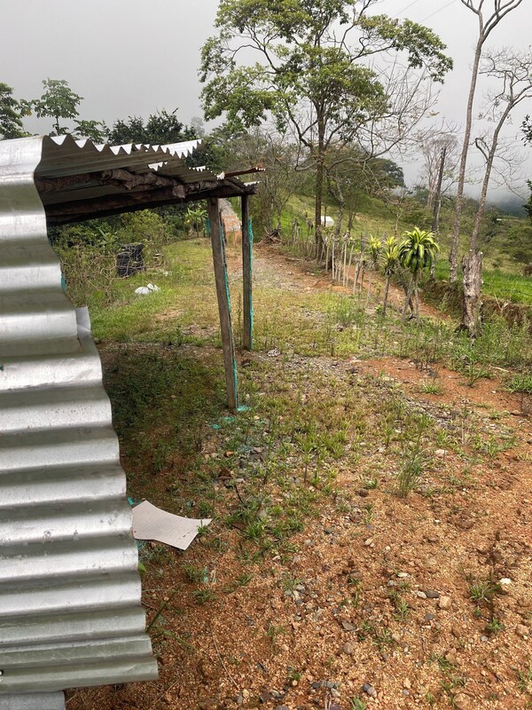 Finca Maria De Los Angeles - Acacías