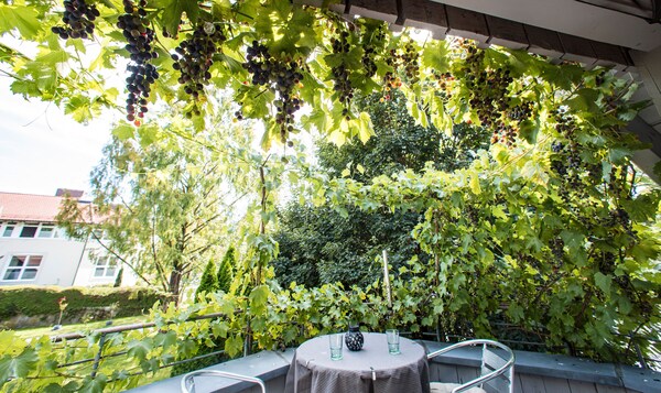 Ferienwohnung 'Marie-lu' Mit Meerblick, Balkon Und Wi-fi - Bad Wurzach