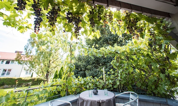 Ferienwohnung 'Marie-lu' Mit Meerblick, Balkon Und Wi-fi - Bad Wurzach