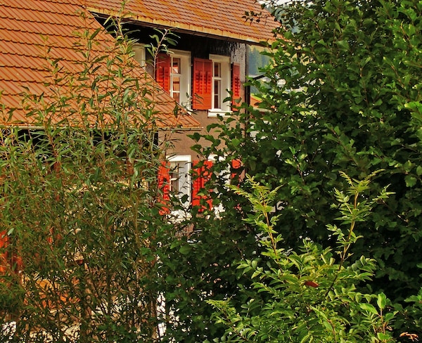 Vakantiehuis 'Bernau' Met Bergzicht, Privéterras En Wi-fi - Schluchsee