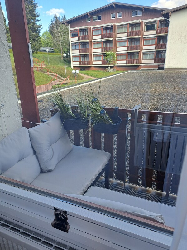 "The Raccoon Cave" - Apt. Mit Balkon & Pool - Lenzkirch