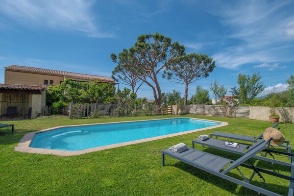 Elda : Appart Rez De Jardin Et Piscine  Chauffée à 7 Min De Calvi Et Plages - Calenzana