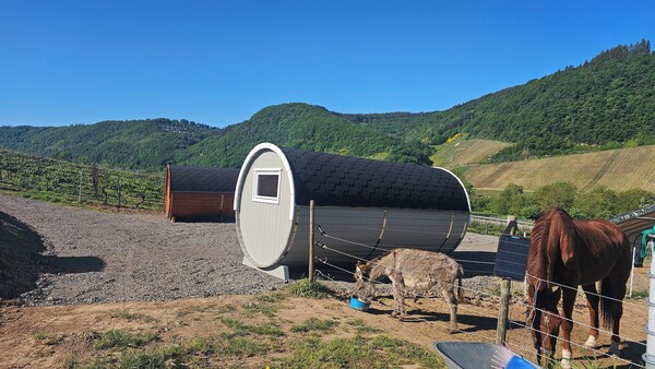 Camping Barrel Odin With Hottube In The Beautiful Burger Vineyards - Hahn