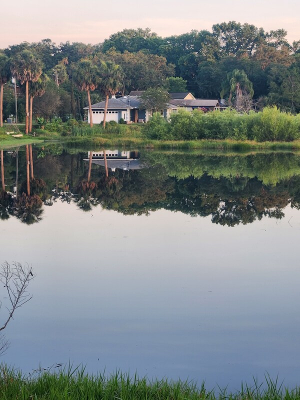 Charming Lakefront 3br 3ba House W/ Ev Chg In Heart Of Mt. Dora. Nature Abounds. - Mount Dora, FL