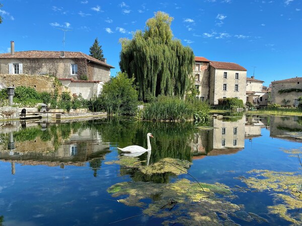 Charming House In A Serene Setting. Along The Flow Vélo! - Jarnac