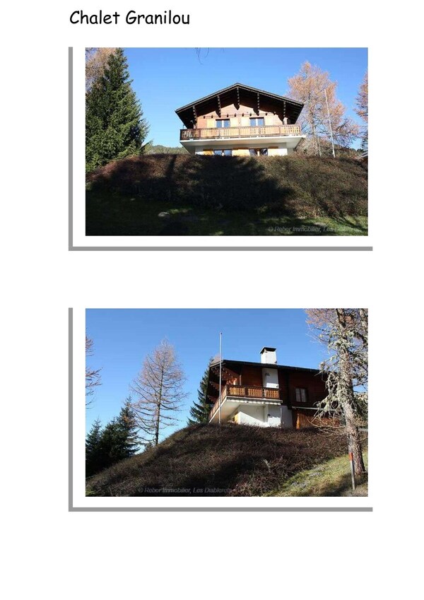 Chalet 1300m Altitude Family Vacation, Pets Welcome - Les Diablerets
