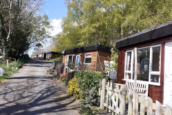 Caban Dyfi  A Tranquil, Dog-friendly Woodland Escape Near Aberdovey,  Wales - North Wales