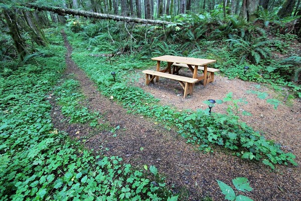 Glamping Yurt With Shared Bath, 1 Mile From Mt Rainier Entrance - Ashford, WA