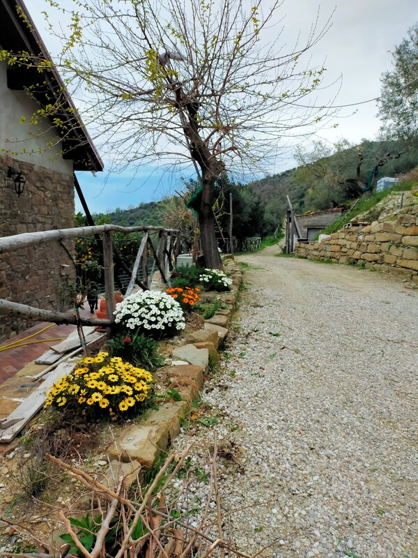 Cozy Country House With Breathtaking Views And Wide Open Spaces. - Agropoli
