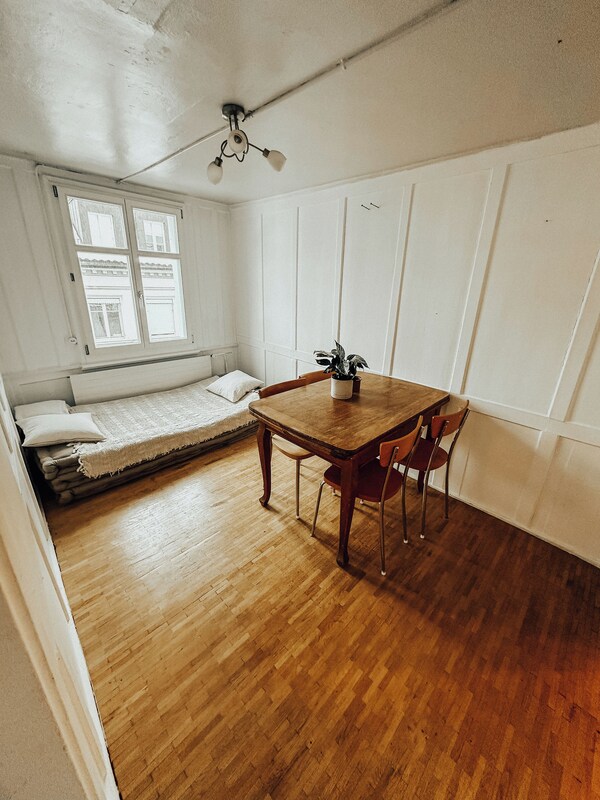 Old Apartment In The Heart Of The City With Terrace - Appenzell