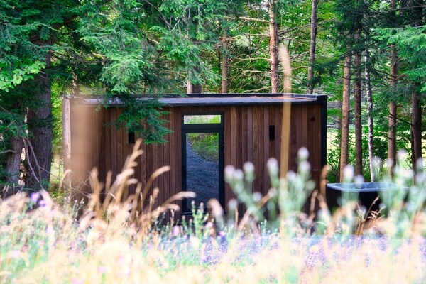 Mirror Cabin In The Forest With Hot Tub - Windham, NY