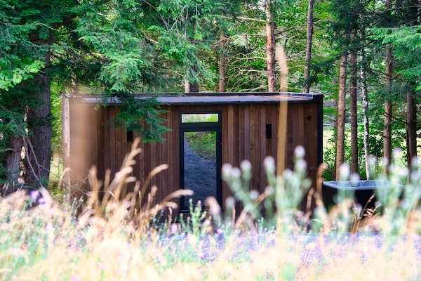 Immersive Forest Views, Glass Mirror Cabin, Hot Tub! Haus Windham - Windham, NY