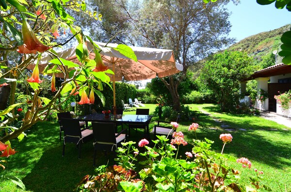 Apartment Surrounded By Nature Within Walking Distance Of Free Hot Springs - Forio