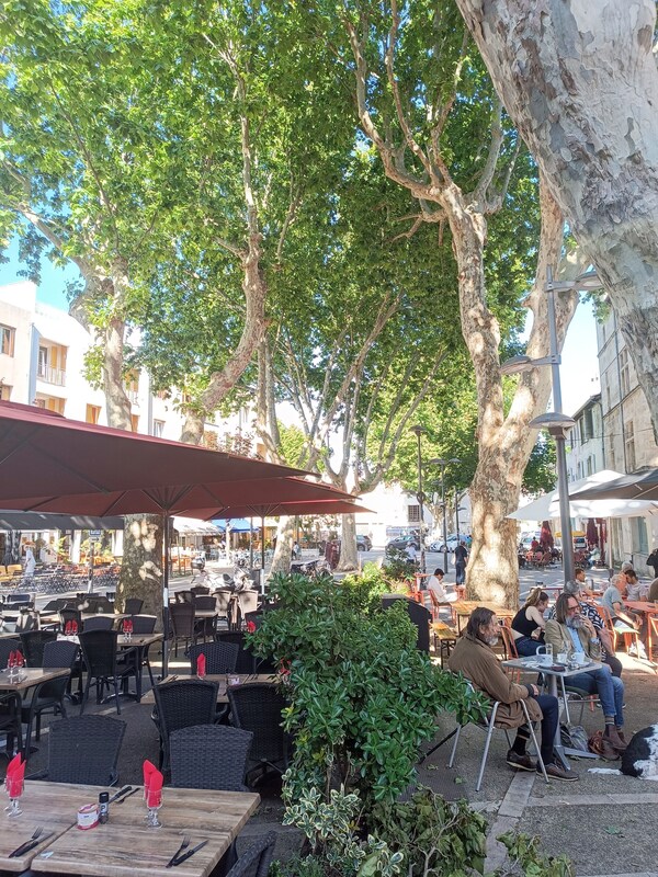 Maison Typique Climatisée Dans Centre Historique Aux Arènes D'arles - Beaucaire