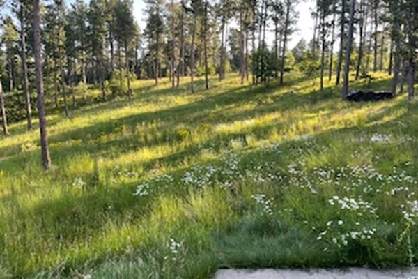 34 Miles From Sturgis, This Oasis Escape In The Middle Of The Wood. - Spearfish, SD