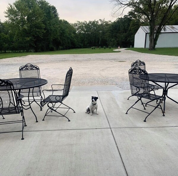 Private Rv Boondocking Retreat  Easy Access, Big Sky Views! Close To Hwy 79/61 - ミズーリ州