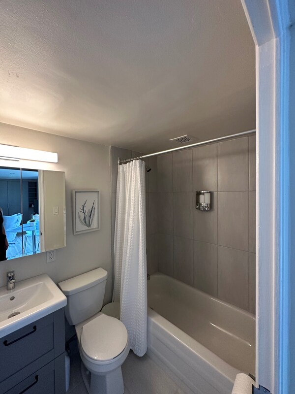 Cozy Modern Centretown Ottawa Studio Near U Of O, Restaurants, And Amenities - Ottawa