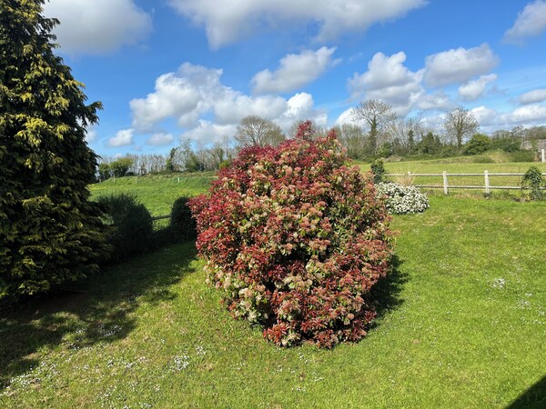 Family Home Between Sea And Countryside - Agon-Coutainville