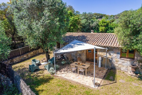Private Heated Swimming Pool - Figari