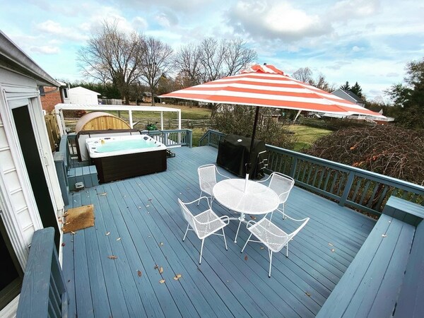 Sauna, Hot Tub, Gym, Great Outdoor Space! - Columbia, MD