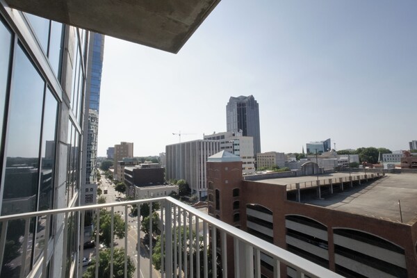 Central Downtown Raleigh Luxury High-rise Condo - North Carolina State University, Raleigh