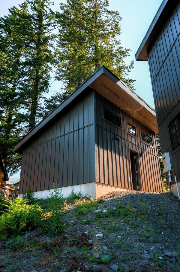 Modern Mountain Mini House- Studio House W/ Sleeping Loft Packwood With Wifi, Ac - Packwood, WA