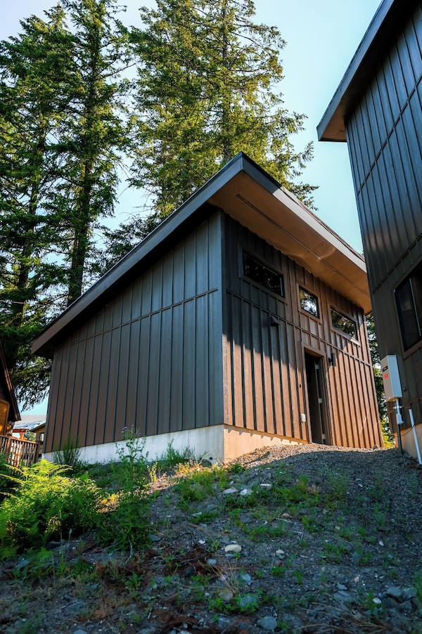 Modern Mountain Mini House- Studio House W/ Sleeping Loft Packwood With Wifi, Ac - Packwood, WA