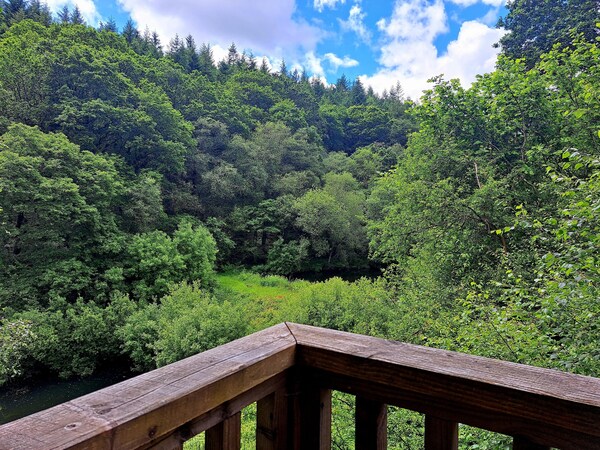 Secluded Sanctuary Of Peace In The Trees -Glorious Cabin On Wildlife Reserve - Dulverton
