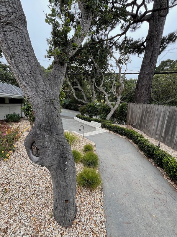 Charming 3-bedroom Home In Carmel-by-the-sea - Carmel-by-the-Sea, CA