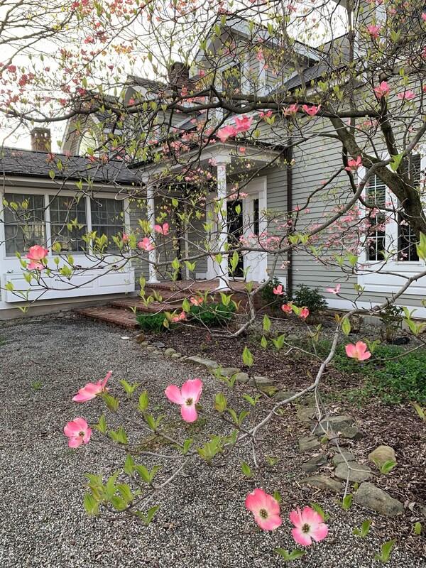 Woodland Sanctuary - 6000ft Retreat For Pure Relaxation! - Woodbury, NY