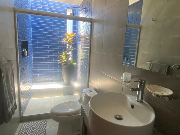 Amplia Habitación Con Baño Privado - San Luis Potosí