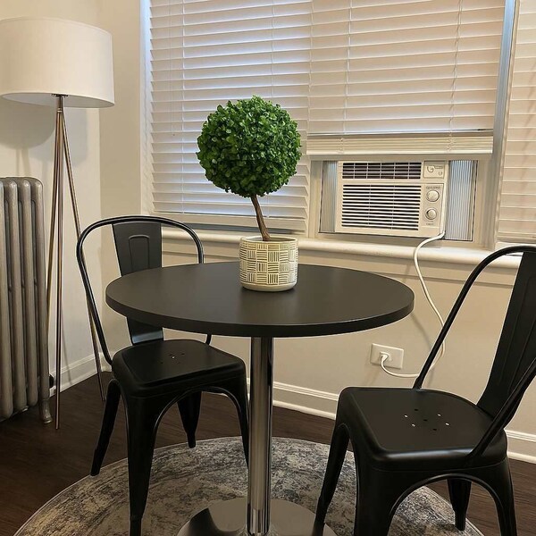 1br Chic Apt In Downtown Chicago - New City - Chicago