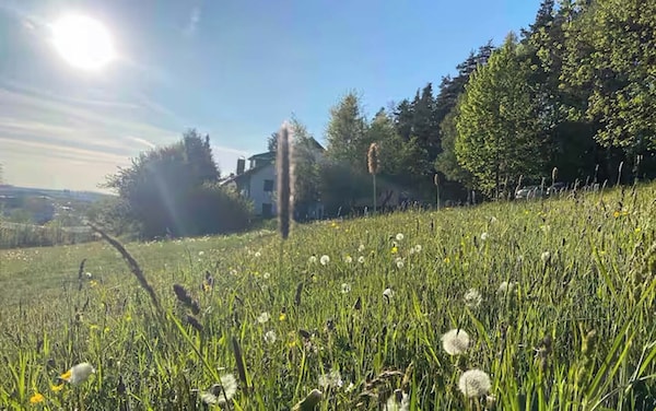 Fewo 65m2 Naturblick - Warmensteinach