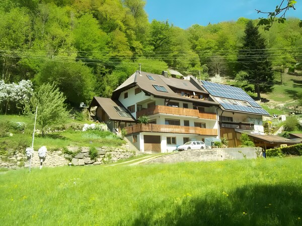 Ferienwohnung 'Vordere Halde' Mit Bergblick, Privater Terrasse Und Wi-fi - Elzach