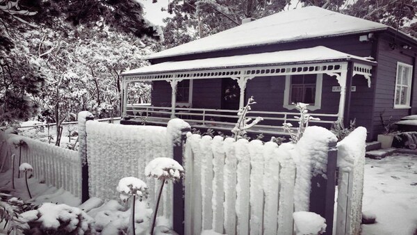 Le Petit Chateau Busland Views - Blue Mountains