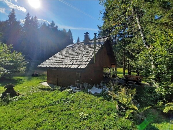 Koča V Gozdu, Forest House Near Bled - Bled