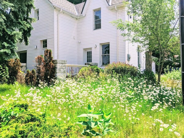 Stylish & Modern House  Walking Distance To Barrie Beach! - Barrie
