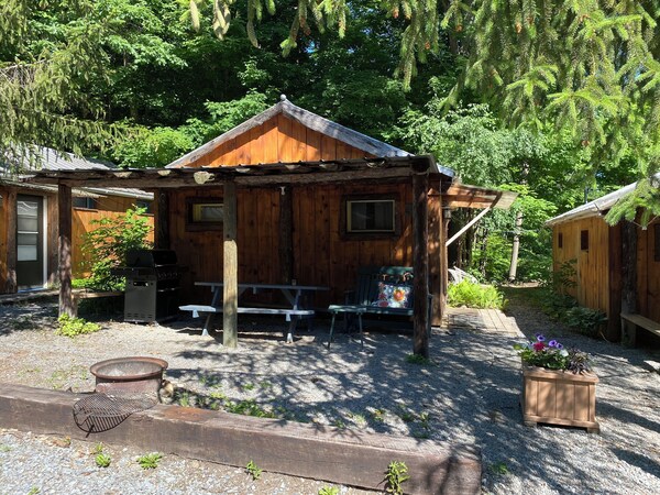 Spotted Sandpiper - Cabin #3 - Cayuga Lake, NY