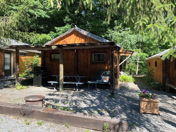 Spotted Sandpiper - Cabin #3 - Cayuga Lake, NY