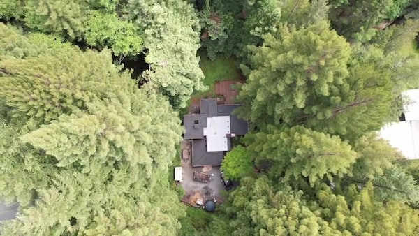 Redwood 101: All New, Stout Grove, Spa-like Bathrooms, Fire Pit, Fully Equipped - Jedediah Smith Redwoods State Park, Crescent City