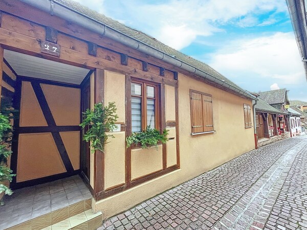 Aux Deux Tours, Appartement Aux-deux-tours, Quartier Pittoresque De Riquewihr - Riquewihr
