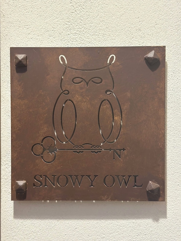 Snowy Owl - Spectacular Apartment With Private Balcony - Todi