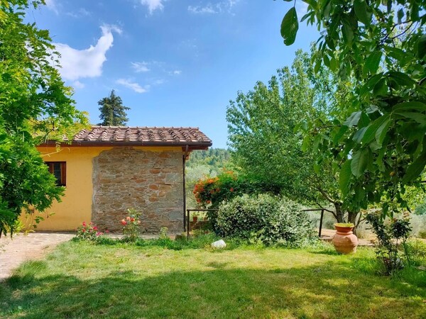 Cozy Cottage With Large Pool Among Olive Trees On The Chianti Hillside - Toscana