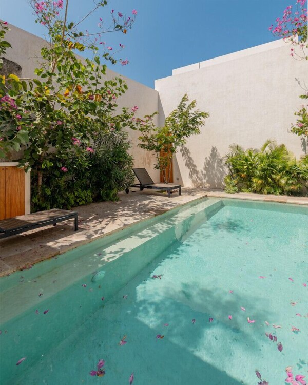 Premium Loft With Private Garden In The Heart Of The Historic Center - Mérida