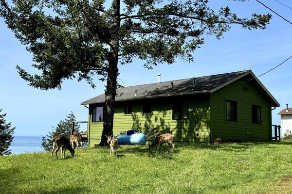Sea Escape At Spruce Overlook - Shelter Cove
