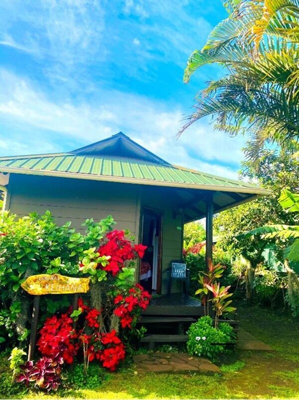 Superior Double Cabin Near The Airport And Hanga Roa Downtown. - Easter Island
