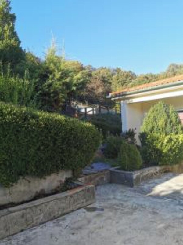 Local Accommodation Madre De Cima - Vinhais