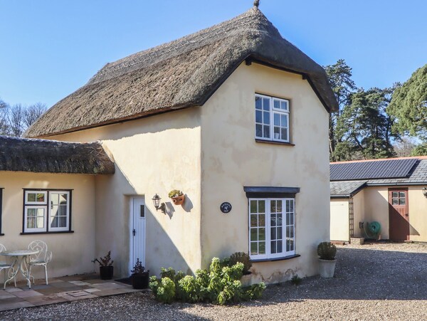 Badger's Den, Pet Friendly, With A Garden In Budleigh Salterton - Budleigh Salterton