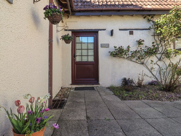 Meadow Cottage, Pet Friendly, Character Holiday Cottage In Upottery - Honiton